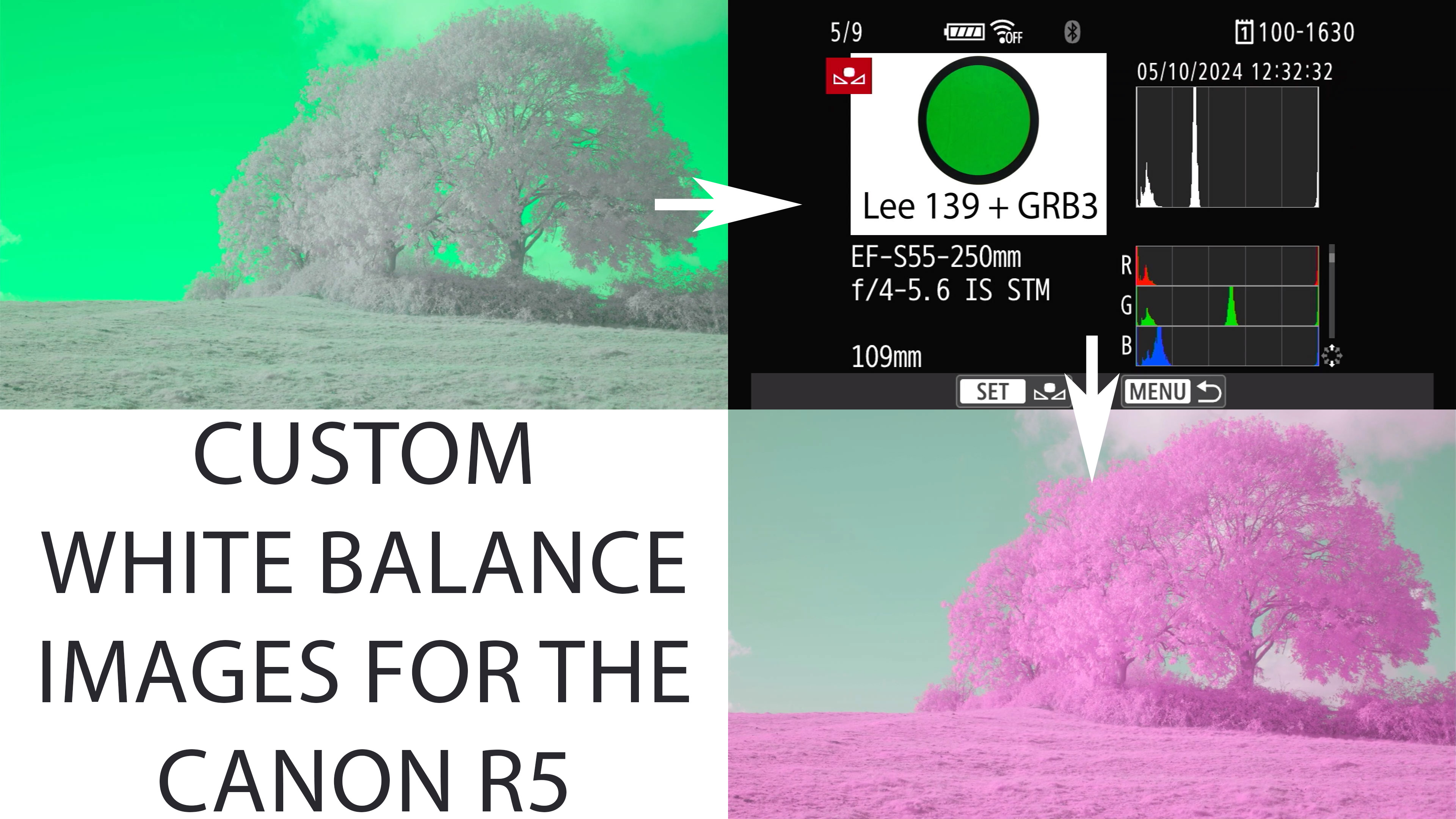 Custom White Balance Images for the Canon R5 · David Kennard Photography